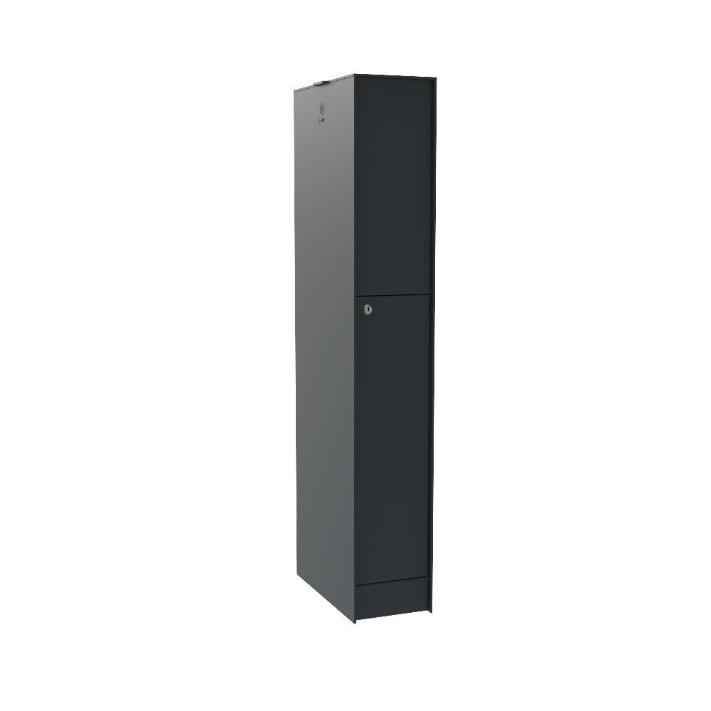 eSafe Fenix Top medium pakketbrievenbus - antraciet - Brievenbusdirect.nl